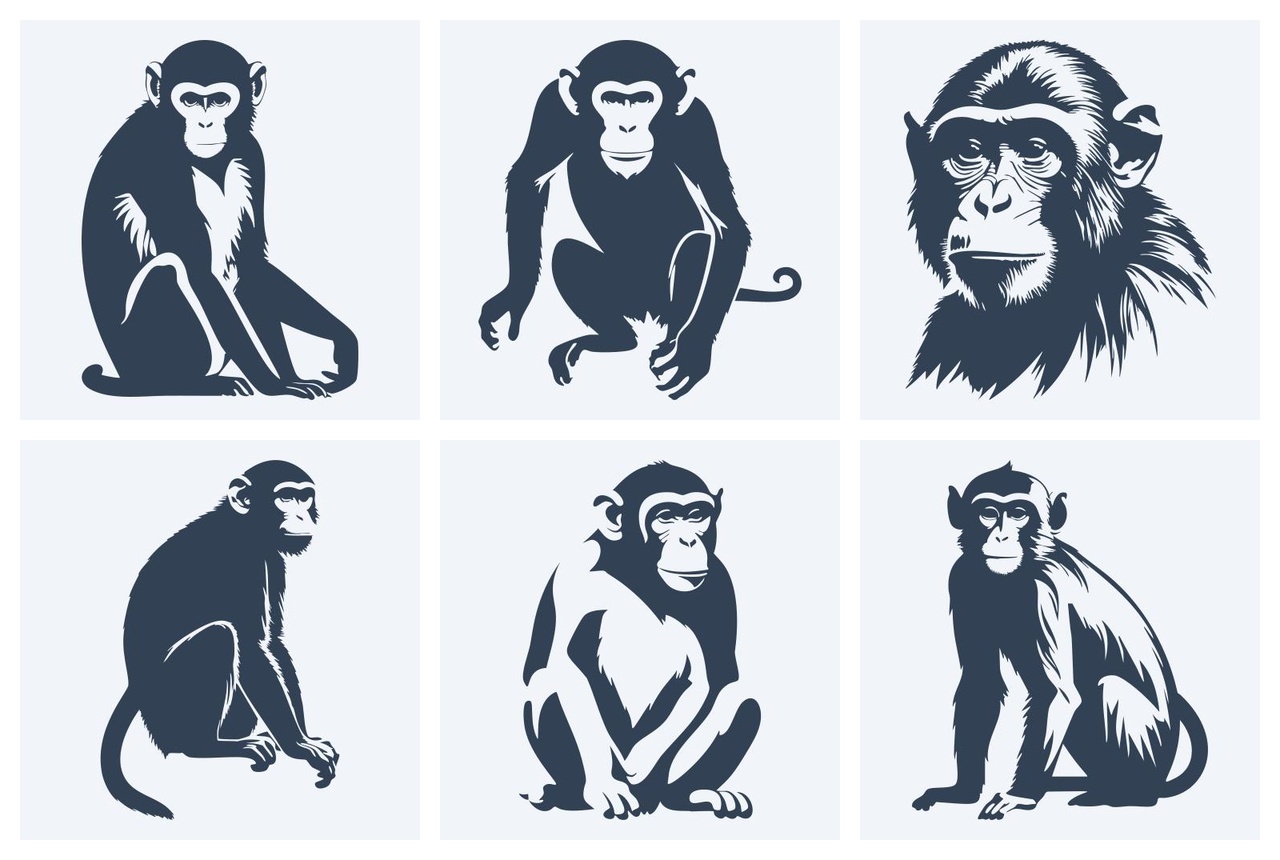 Monkey – Tiny Vectors